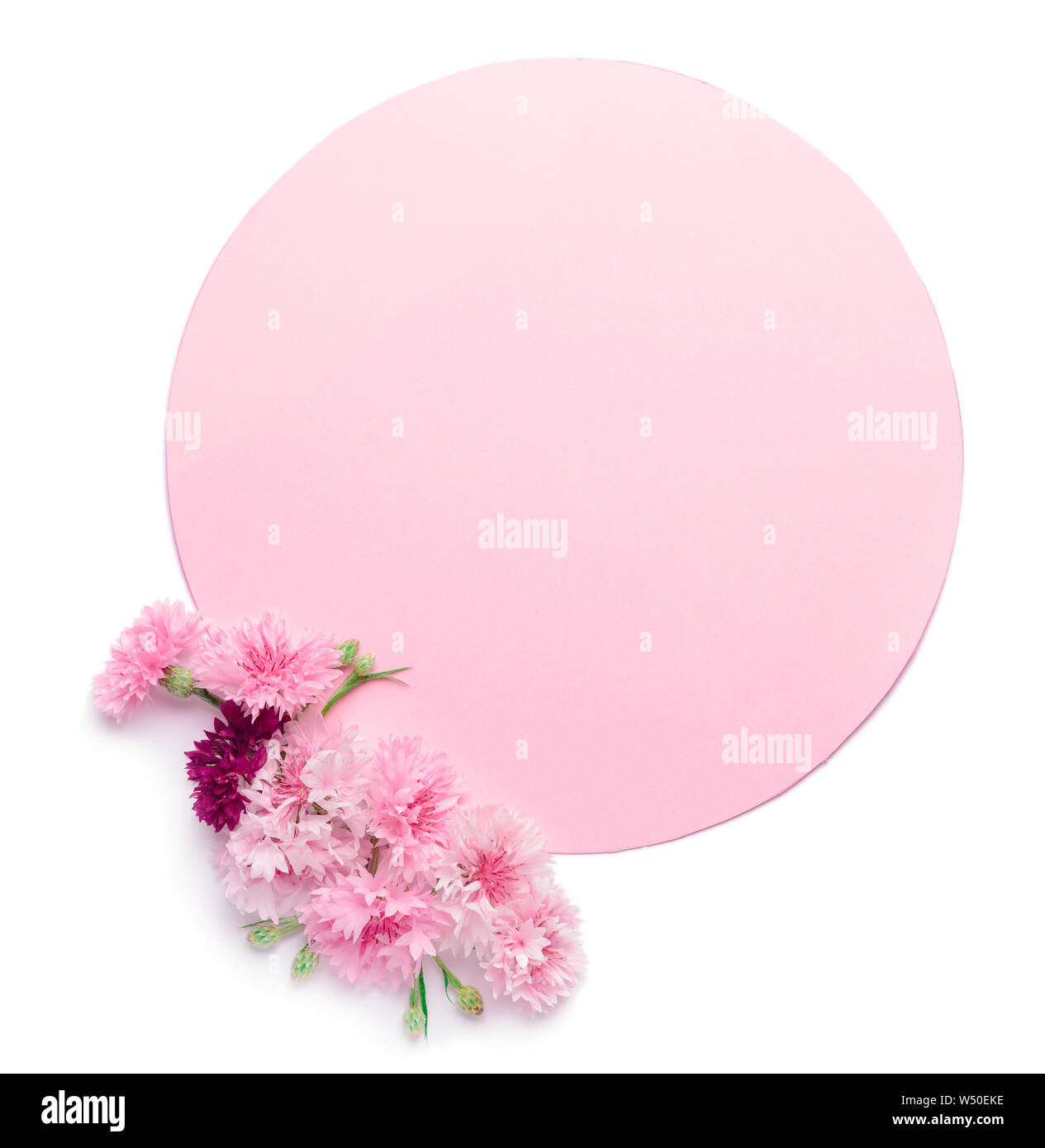 Empty greeting card with beautiful flowers on white background Stock ...