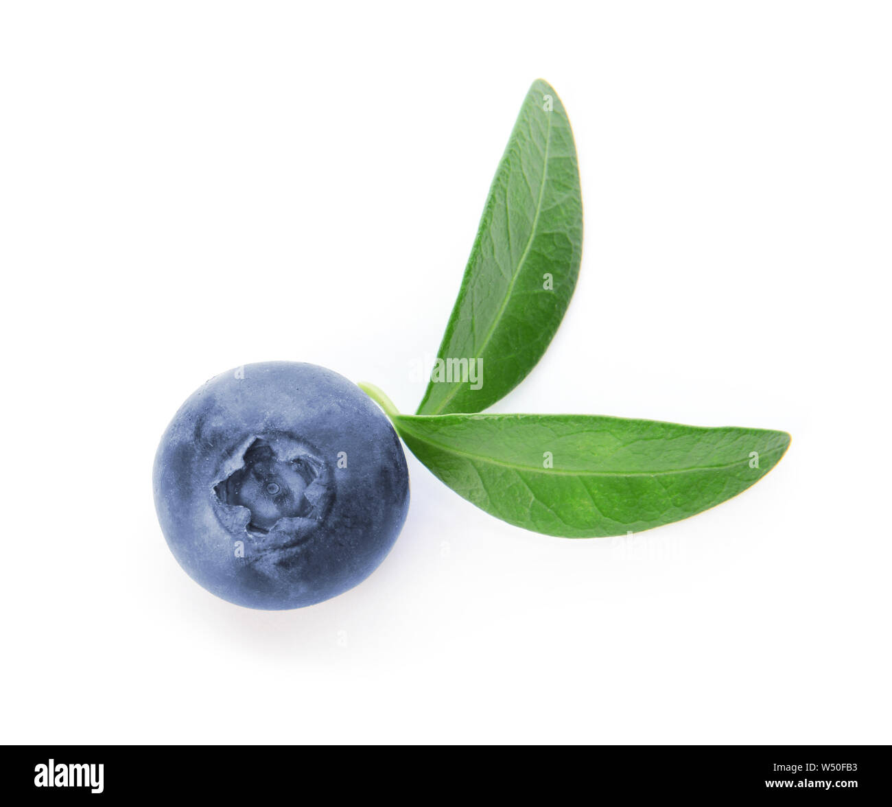 Fresh ripe blueberry on white background Stock Photo - Alamy