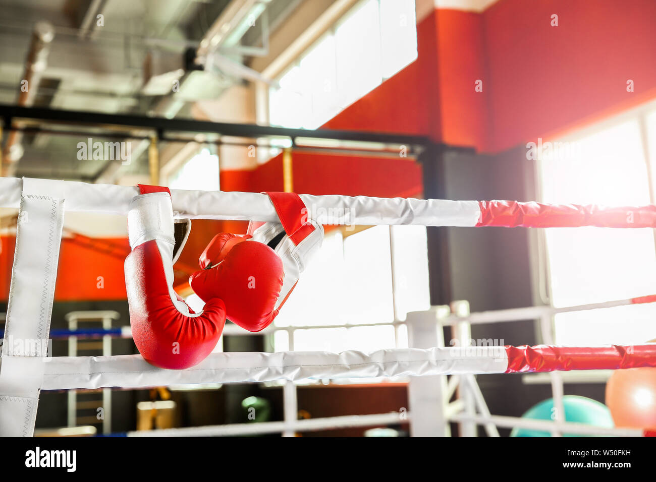 Gloves on rope of boxing ring in gym Stock Photo - Alamy
