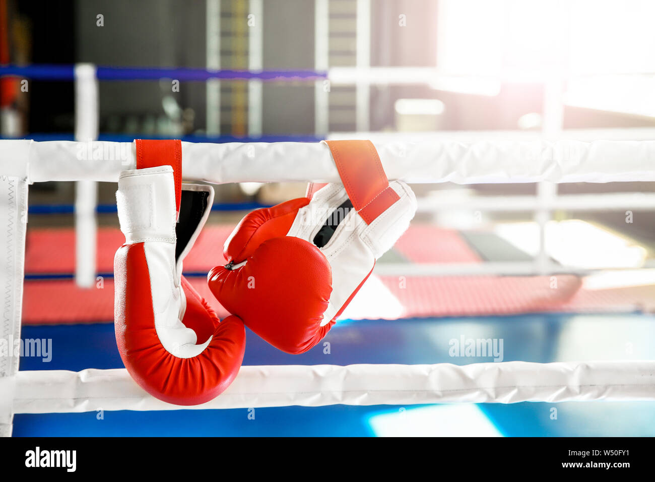 Gloves on rope of boxing ring in gym Stock Photo - Alamy
