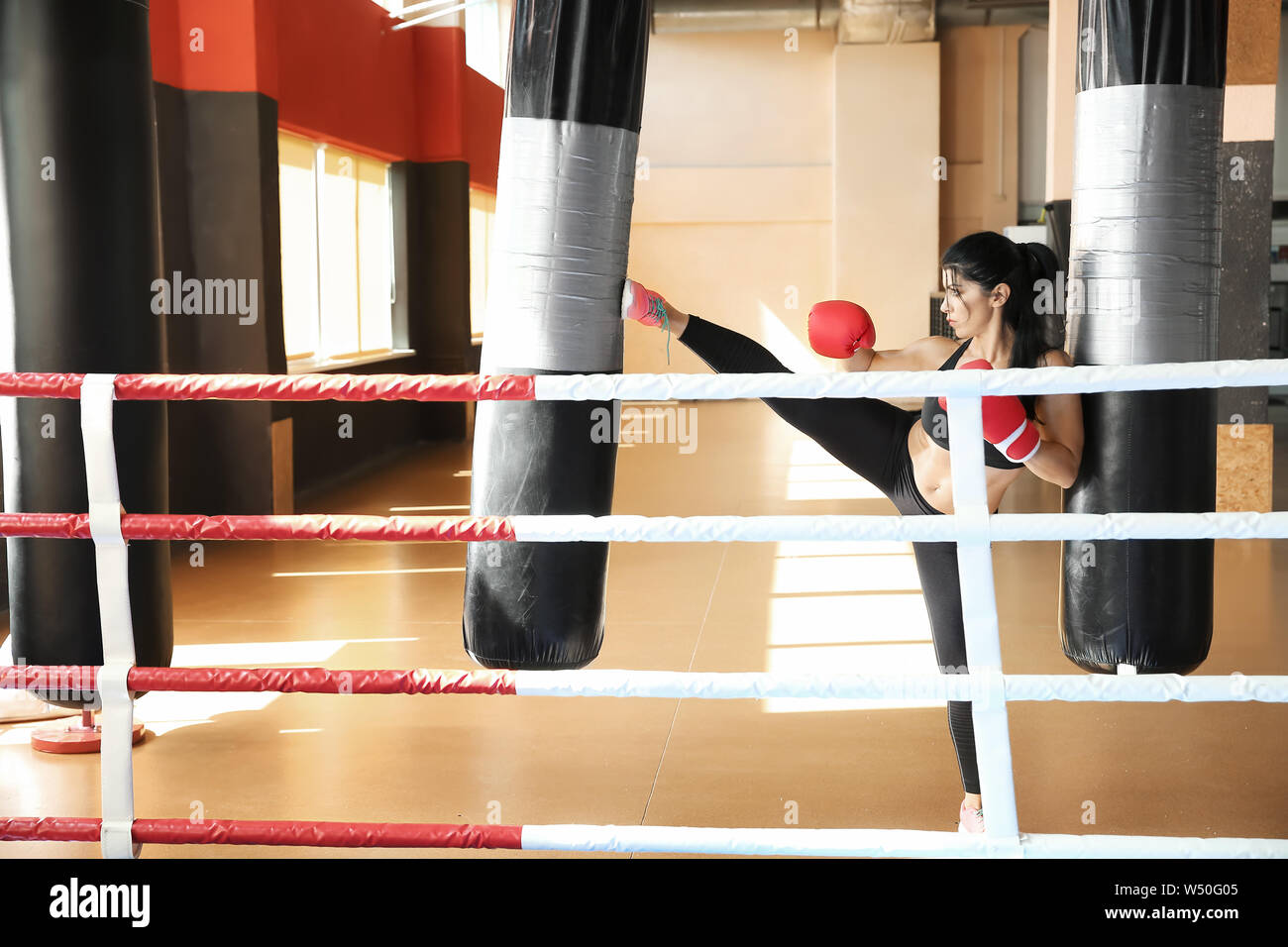 Female kickboxer training with punching bag in gym Stock Photo - Alamy