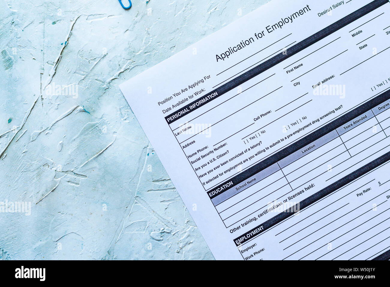 Standard Application for Employment. HR, Hiring, Applying concept. Job ...