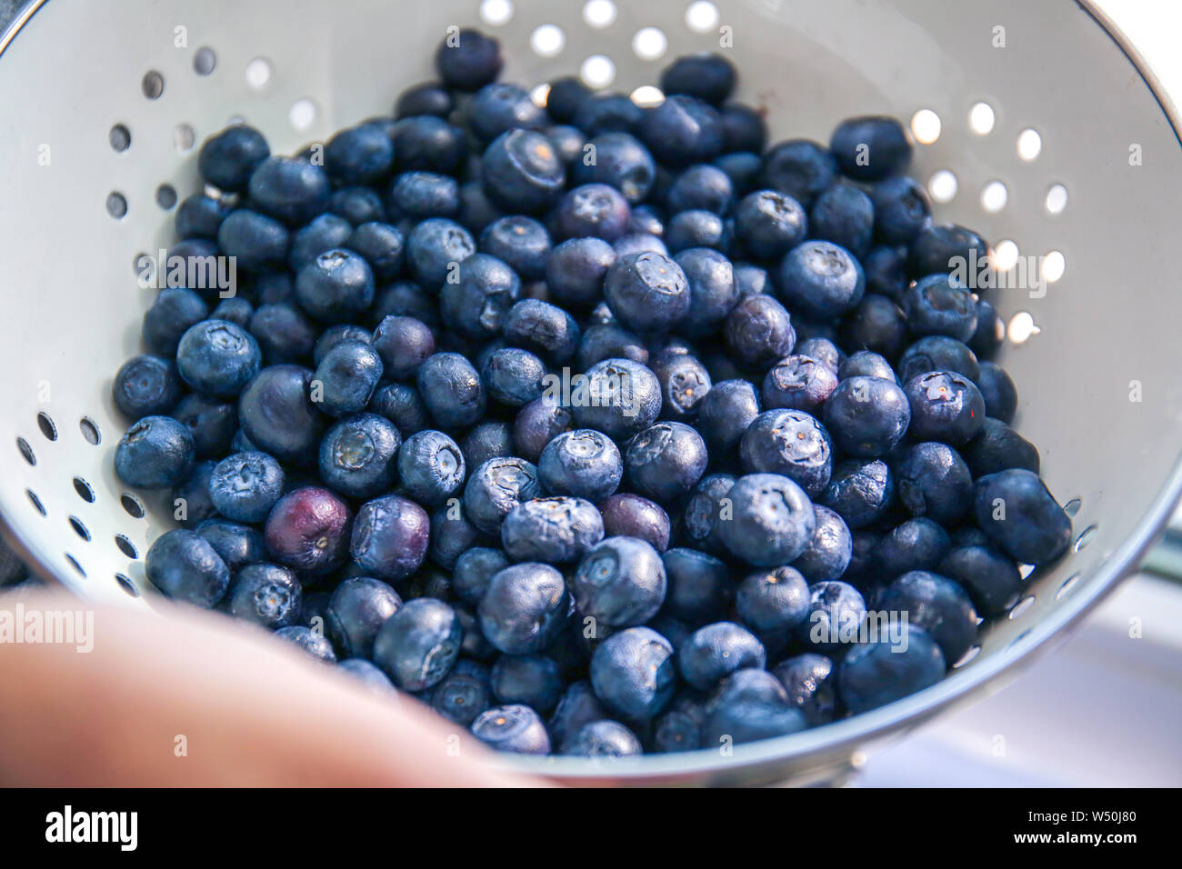 Fresh blueberries in colander hi-res stock photography and images - Alamy