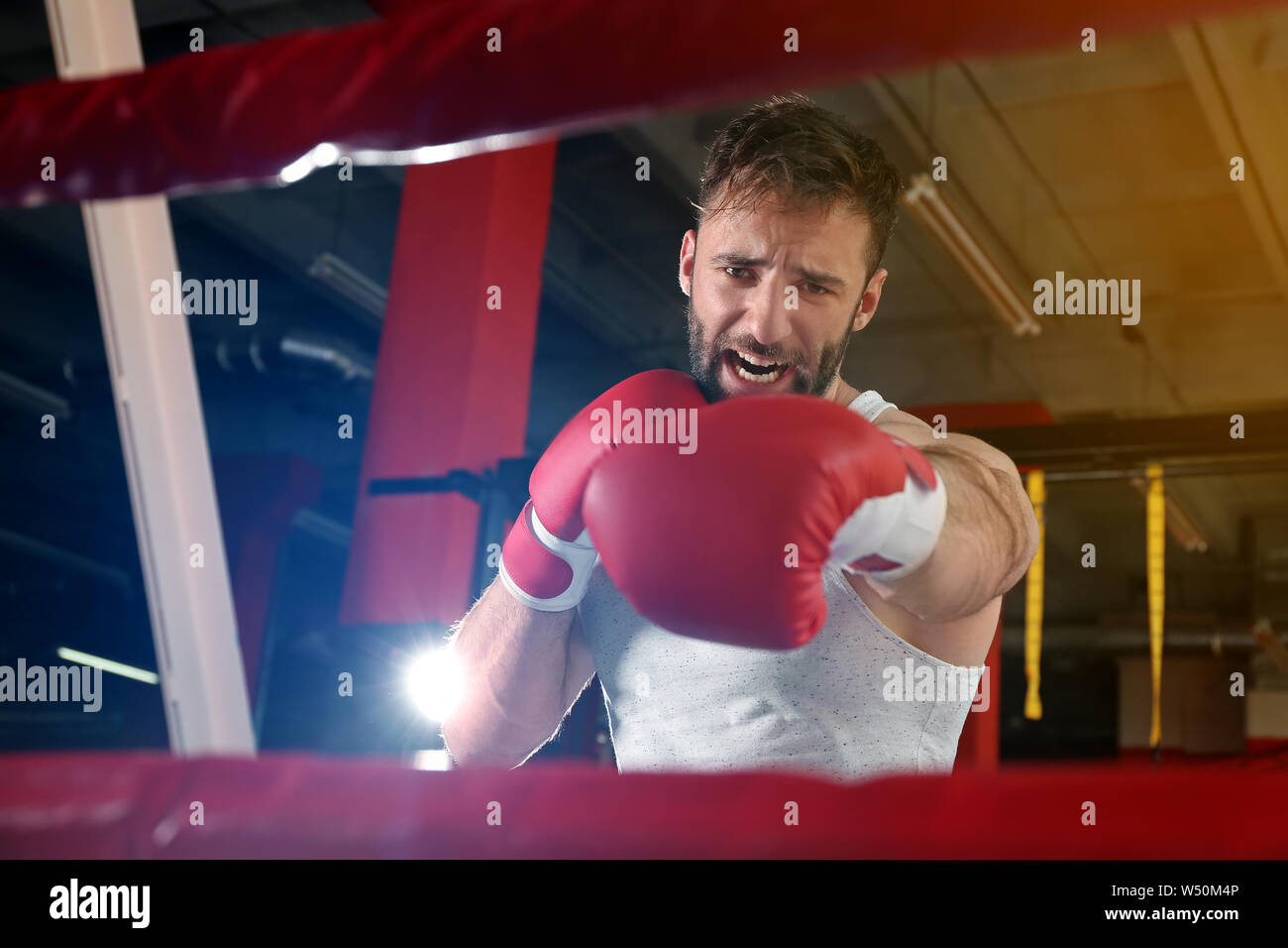 Sporty man in boxing ring Stock Photo - Alamy