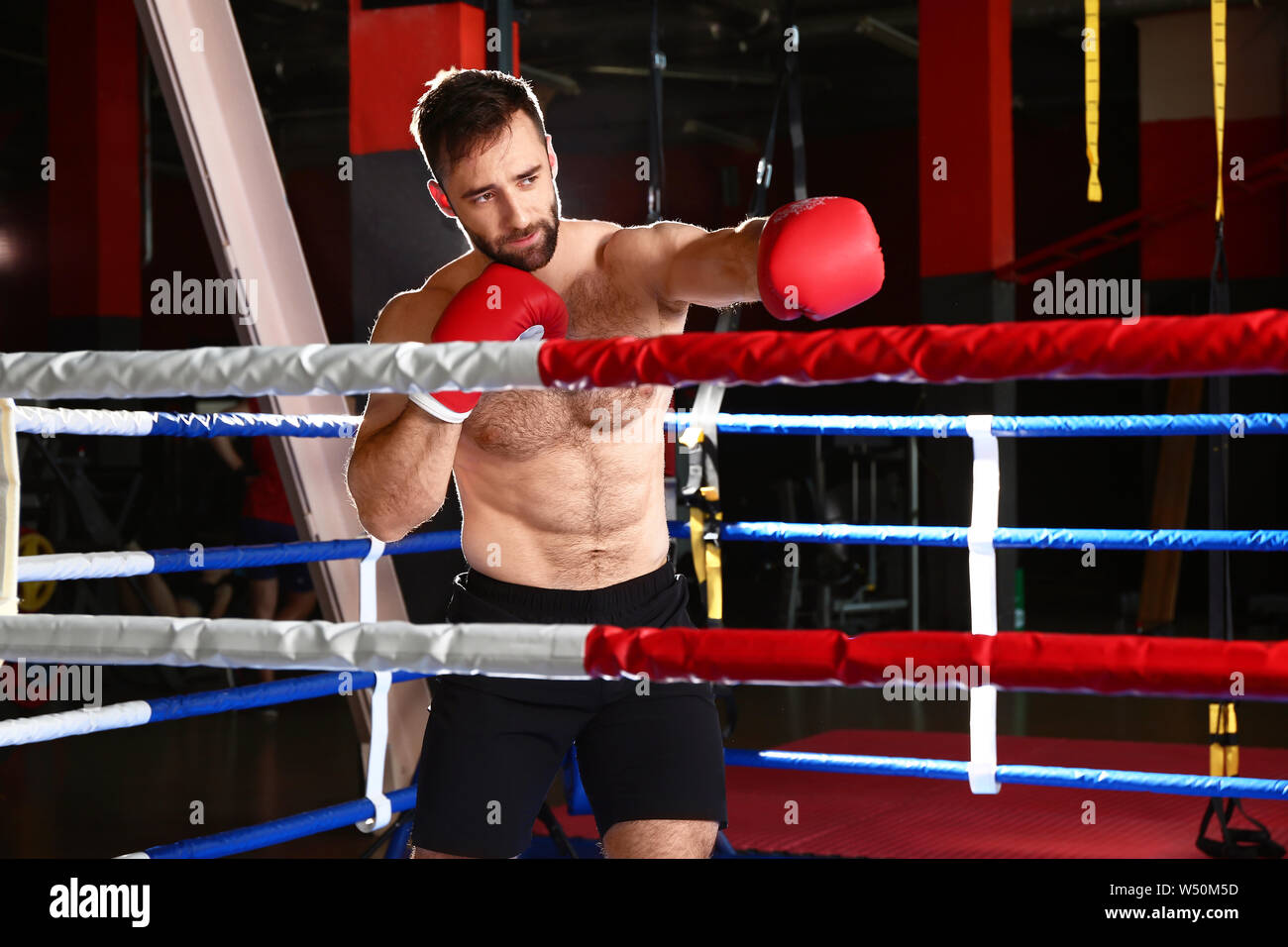 Sporty man in boxing ring Stock Photo - Alamy