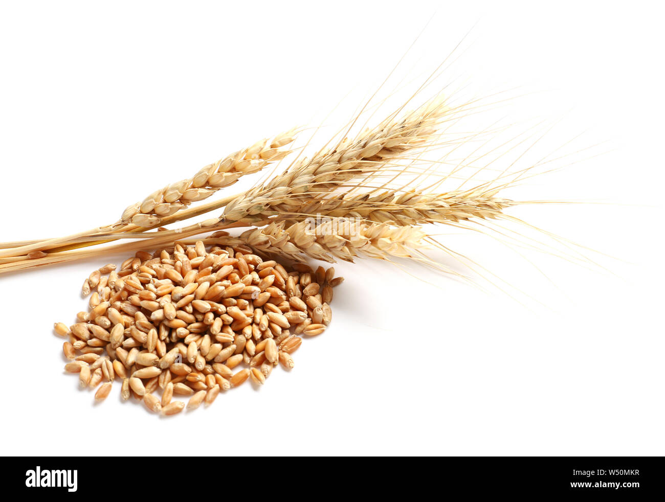 Wheat spikelets with grains on white background Stock Photo - Alamy