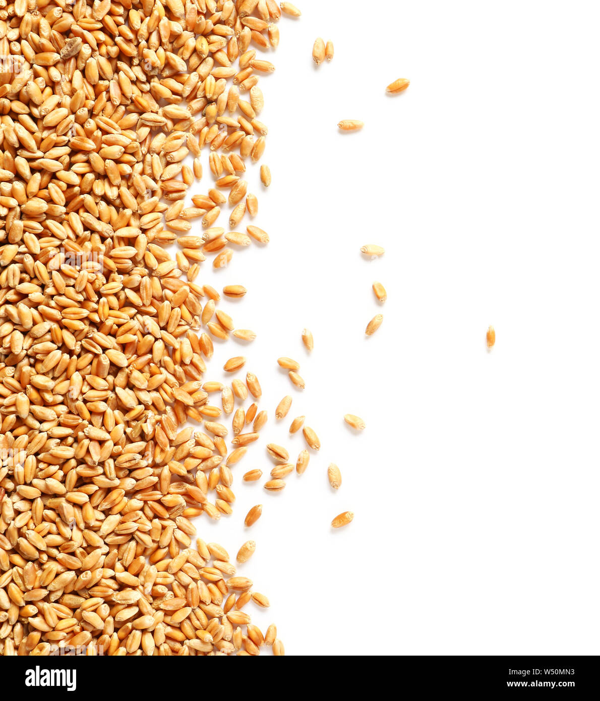 Wheat grains on white background Stock Photo - Alamy