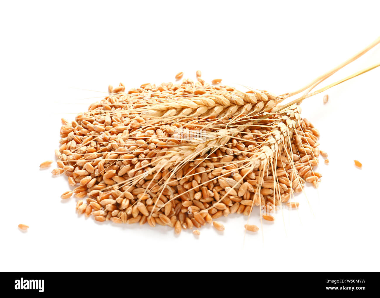 Wheat spikelets with grains on white background Stock Photo - Alamy