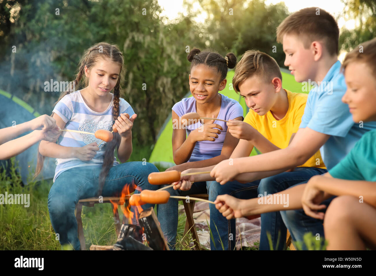 Group of children cooking sausages on campfire Stock Photo - Alamy