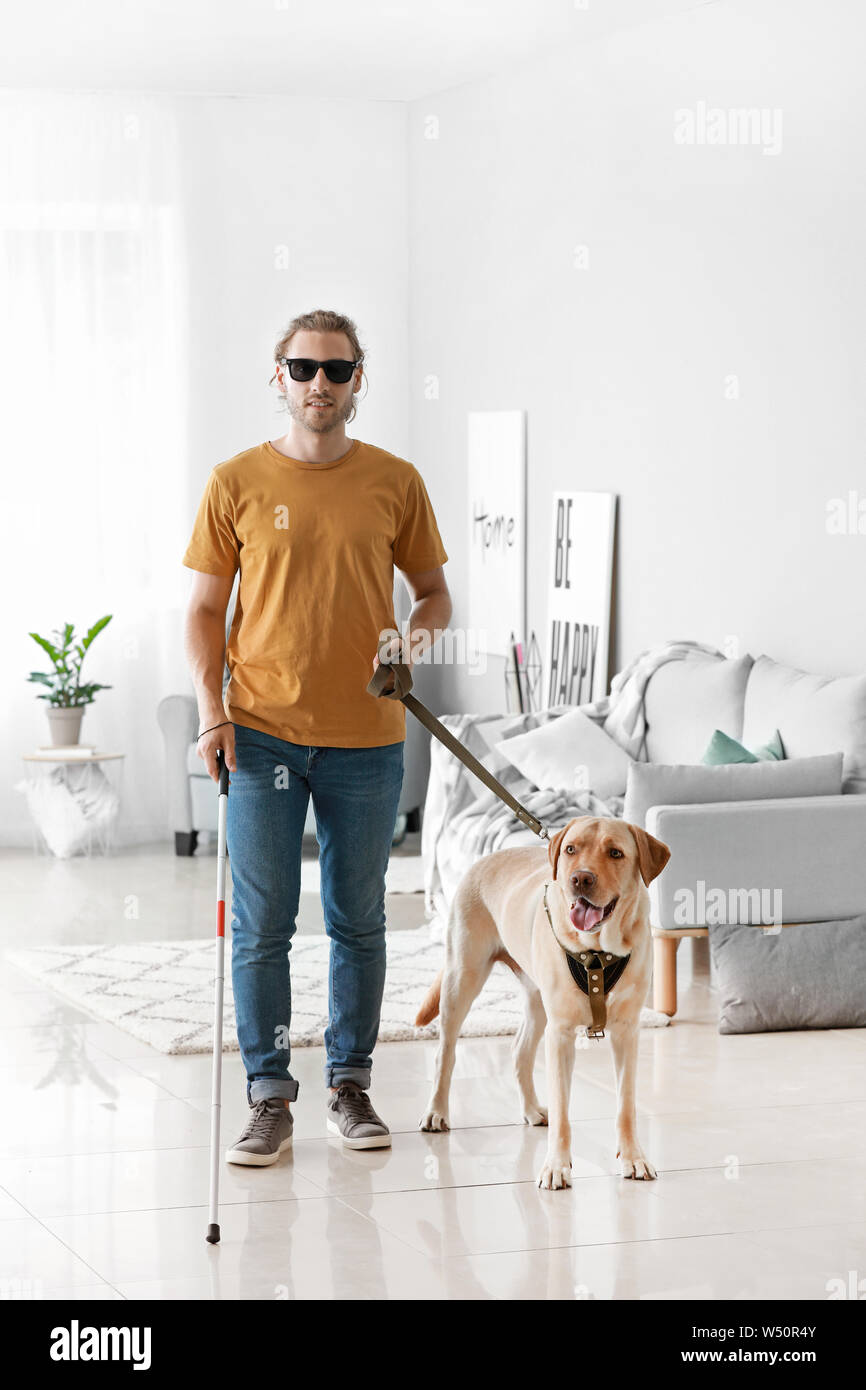 Blind man guide dog hi-res stock photography and images - Alamy
