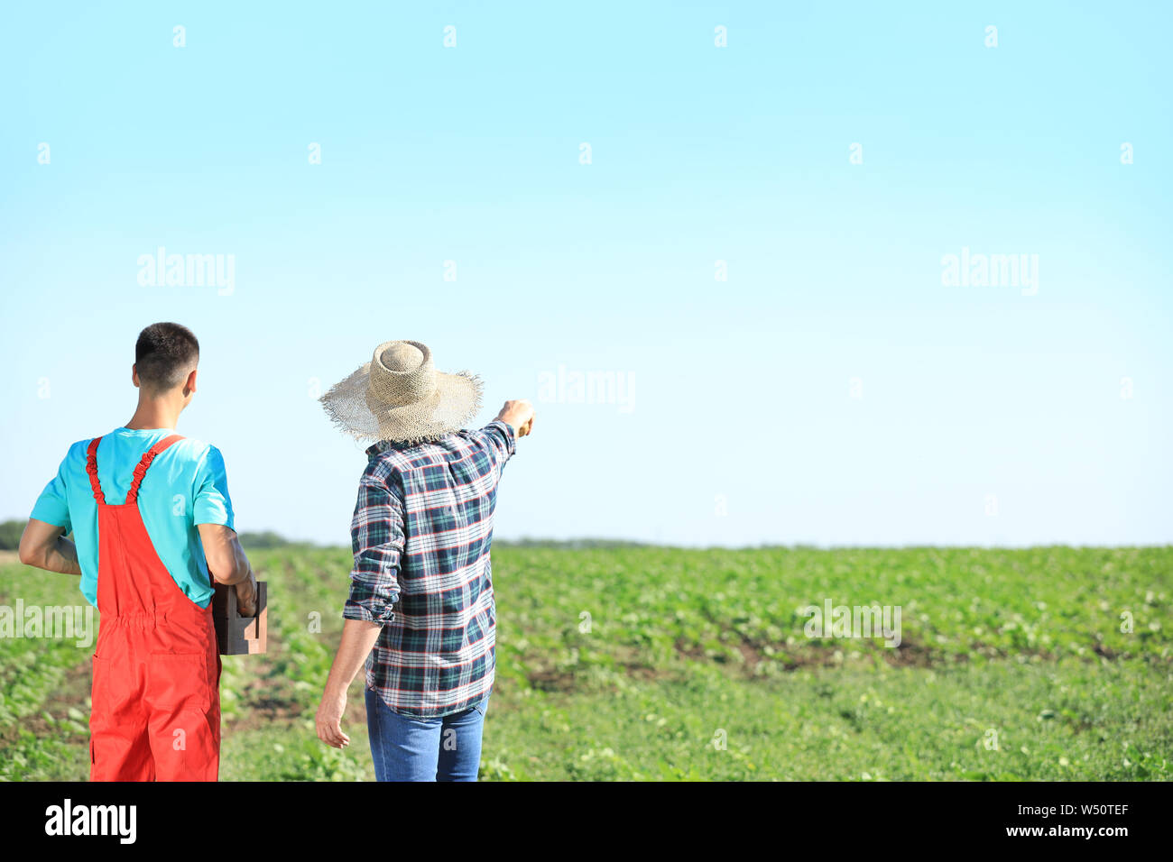 Male farmers working in field, back view Stock Photo - Alamy