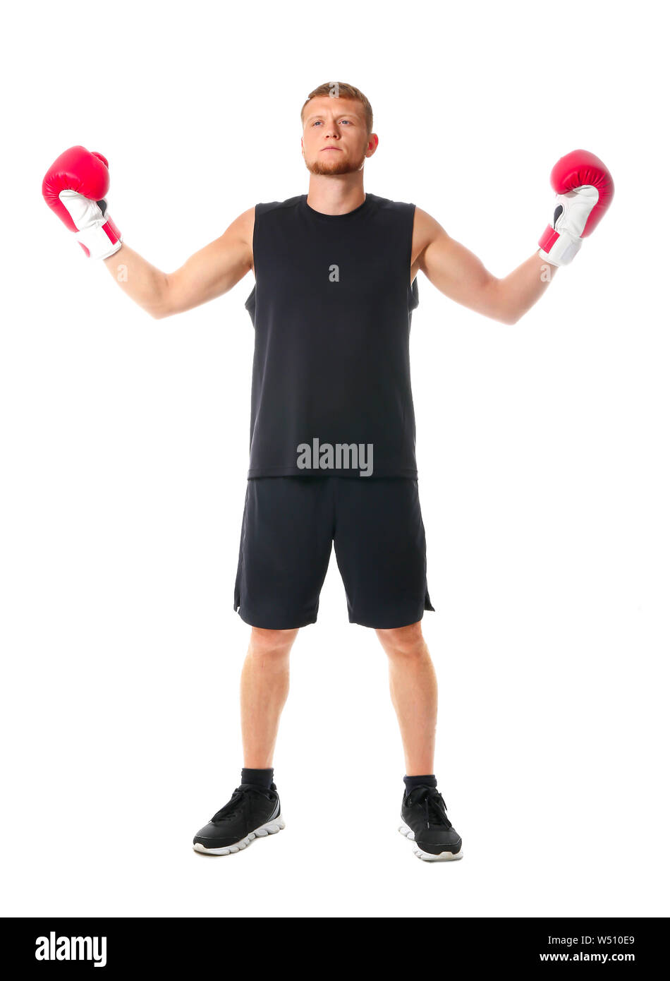 Strong male boxer on white background Stock Photo - Alamy