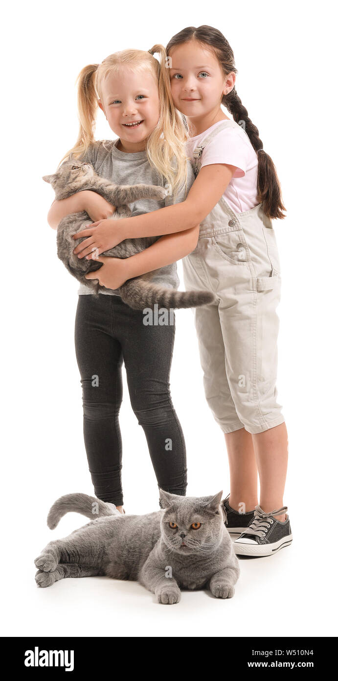 Happy girls with cute cats on white background Stock Photo - Alamy