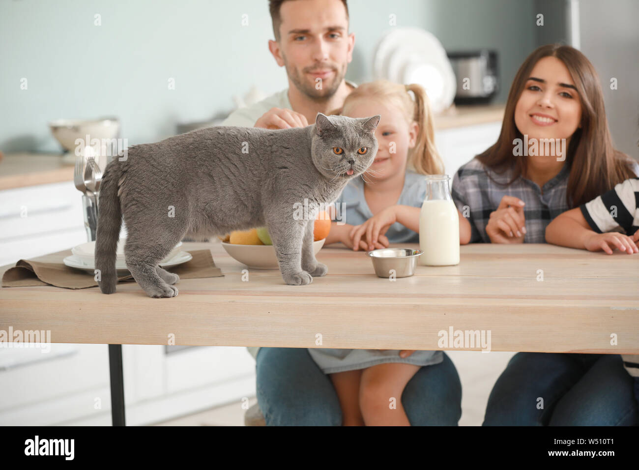 Happy family feeding cute cat in kitchen Stock Photo - Alamy