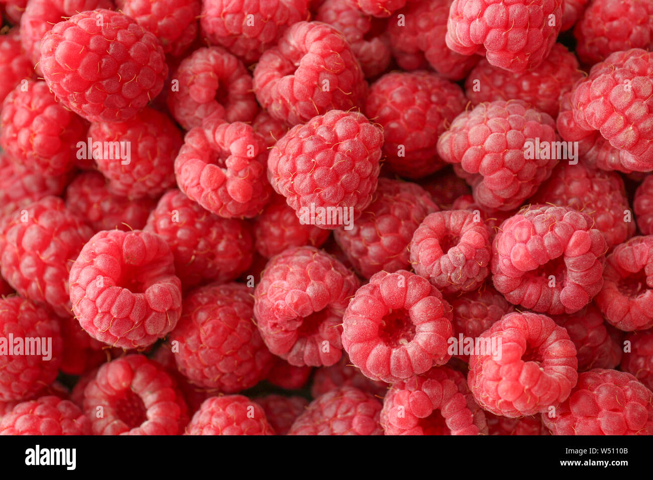 Many sweet ripe raspberry as background Stock Photo - Alamy