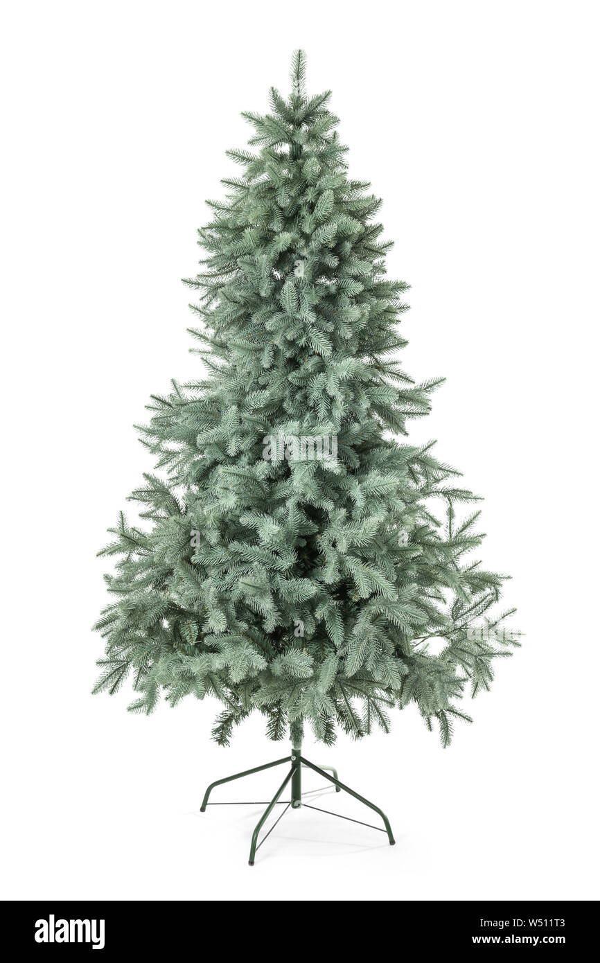 Green fir tree on white background Stock Photo - Alamy