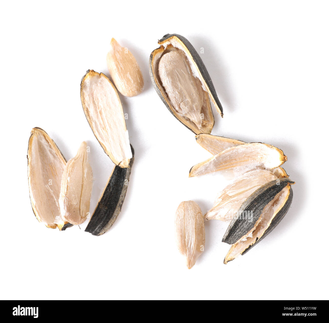 Sunflower shell and seeds on white background Stock Photo - Alamy