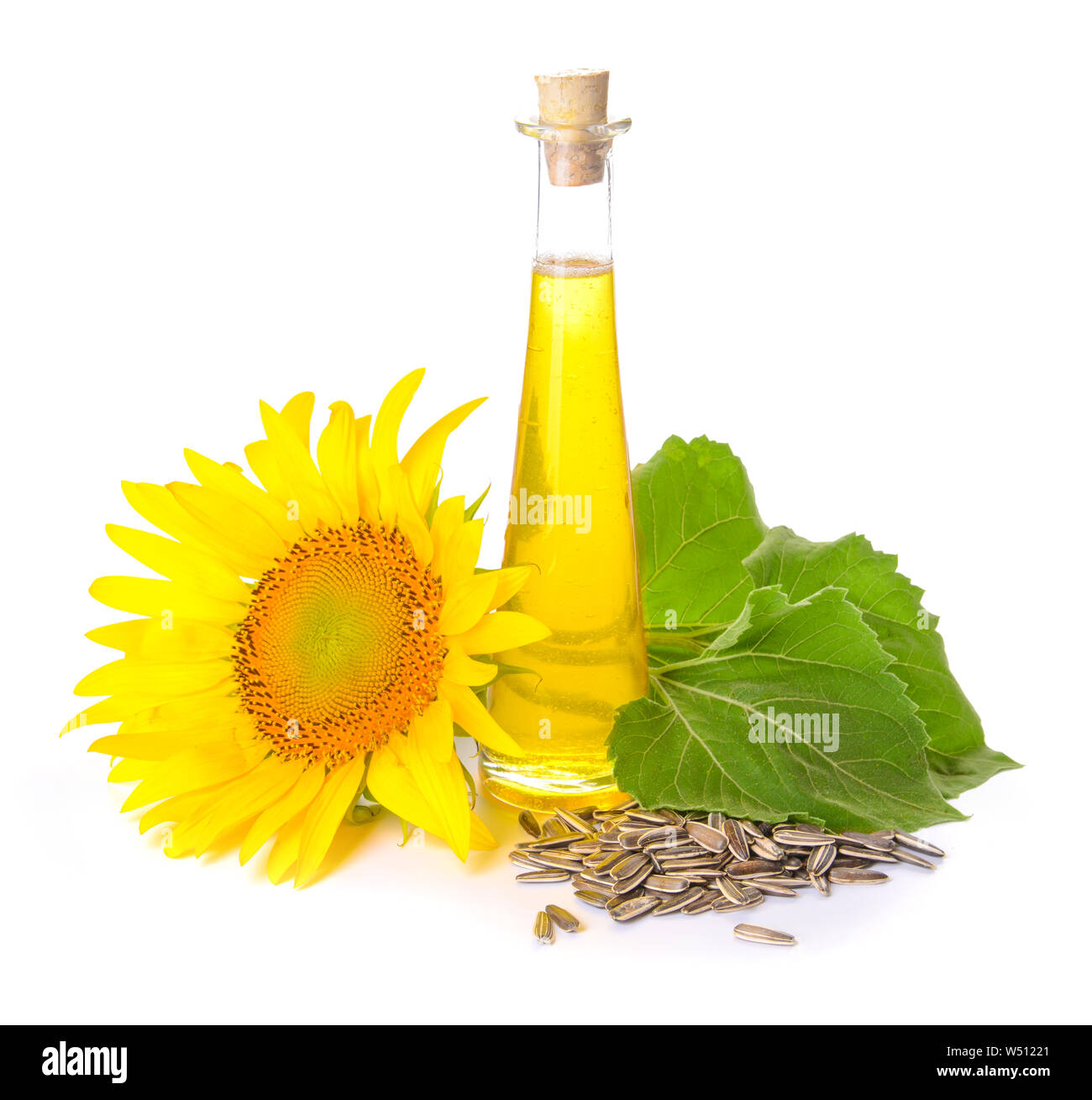 Composition with sunflower oil on white background Stock Photo - Alamy