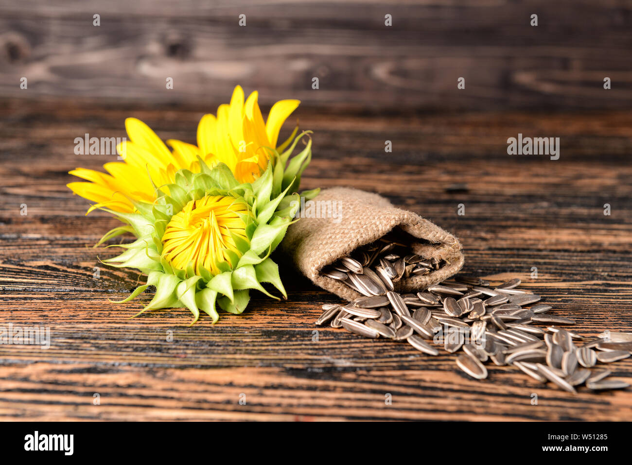 Bag sunflower seeds hi-res stock photography and images - Alamy