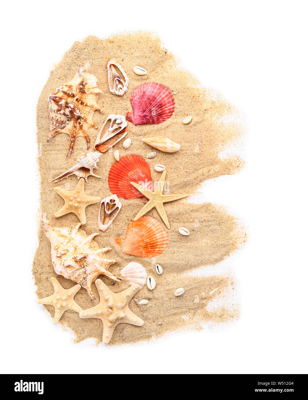 Beautiful sea shells, starfish and sand on white background Stock Photo ...