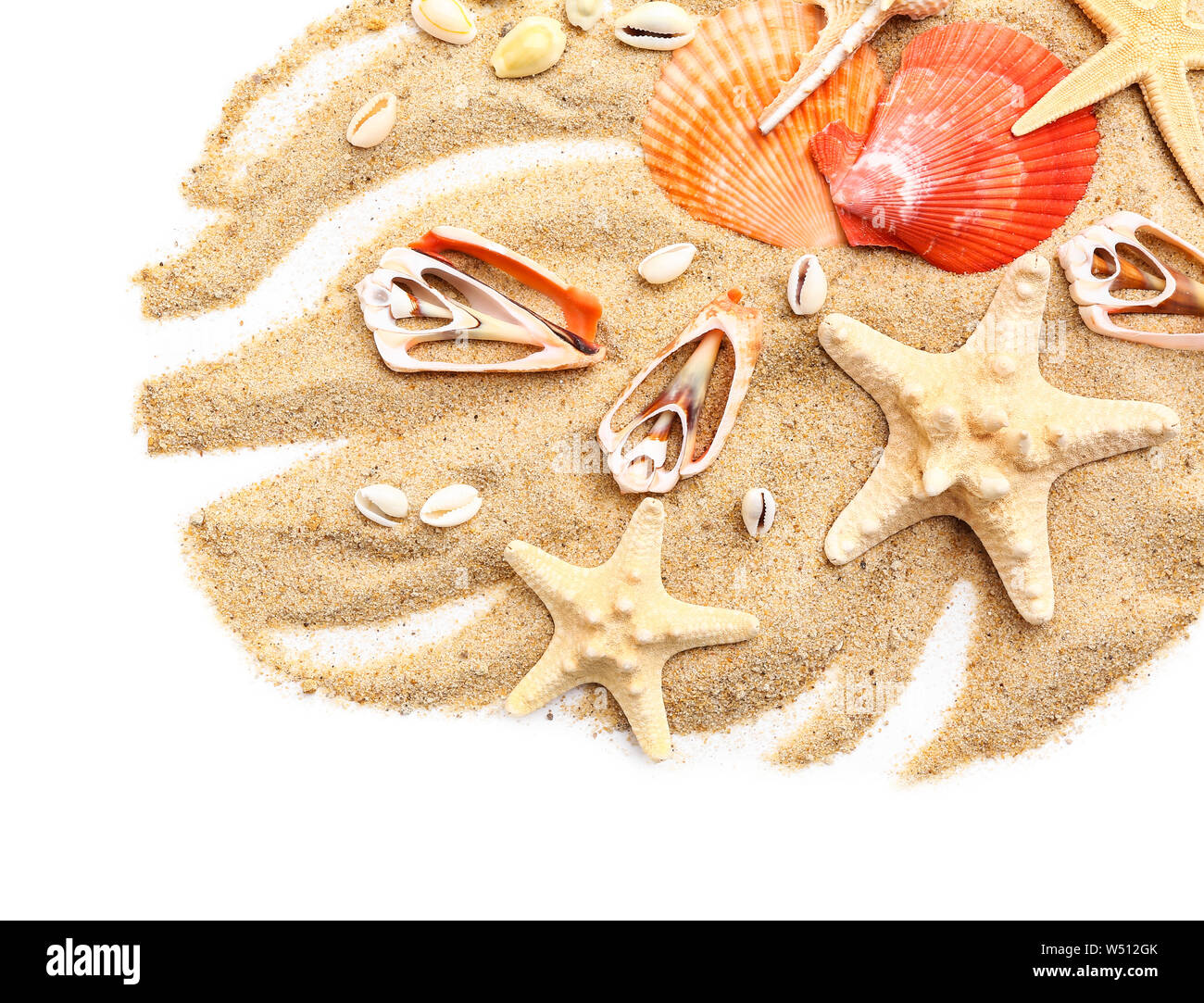 Beautiful sea shells, starfish and sand on white background Stock Photo ...