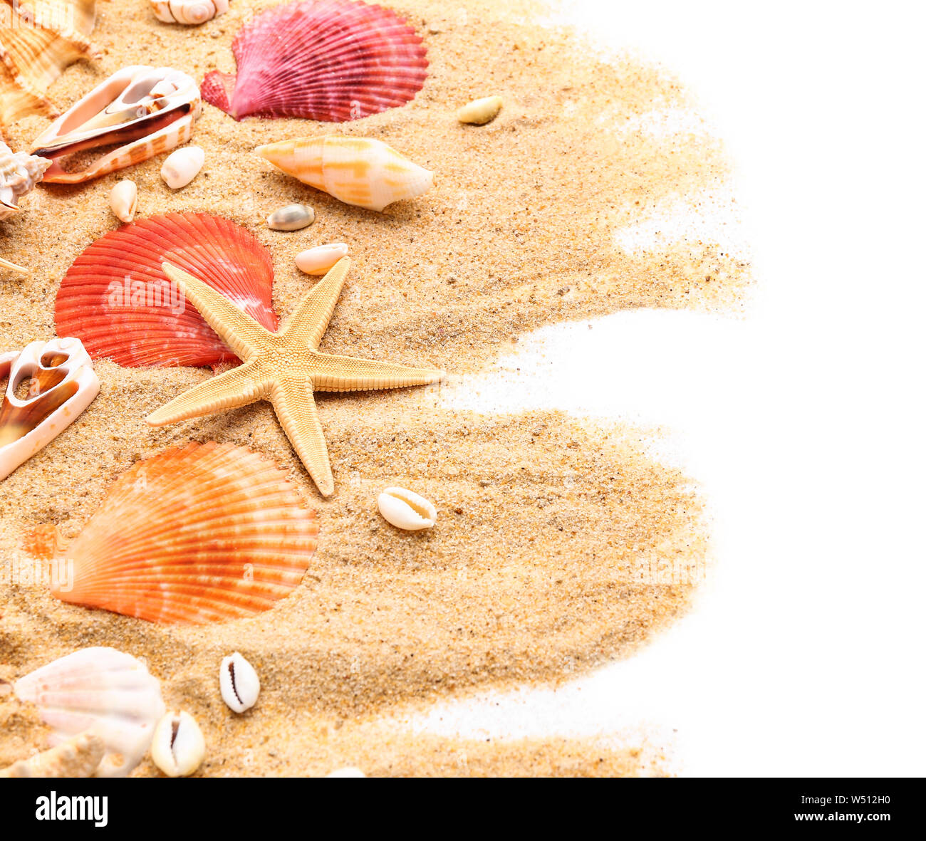 Beautiful sea shells, starfish and sand on white background Stock Photo ...