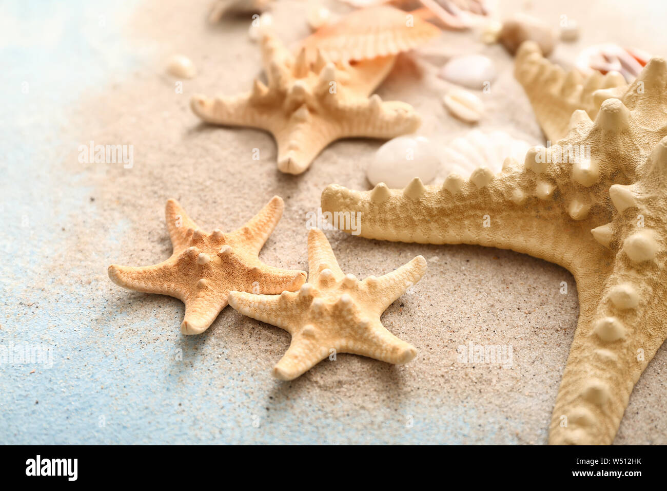 Beautiful sea shells, starfish and sand on color background Stock Photo ...