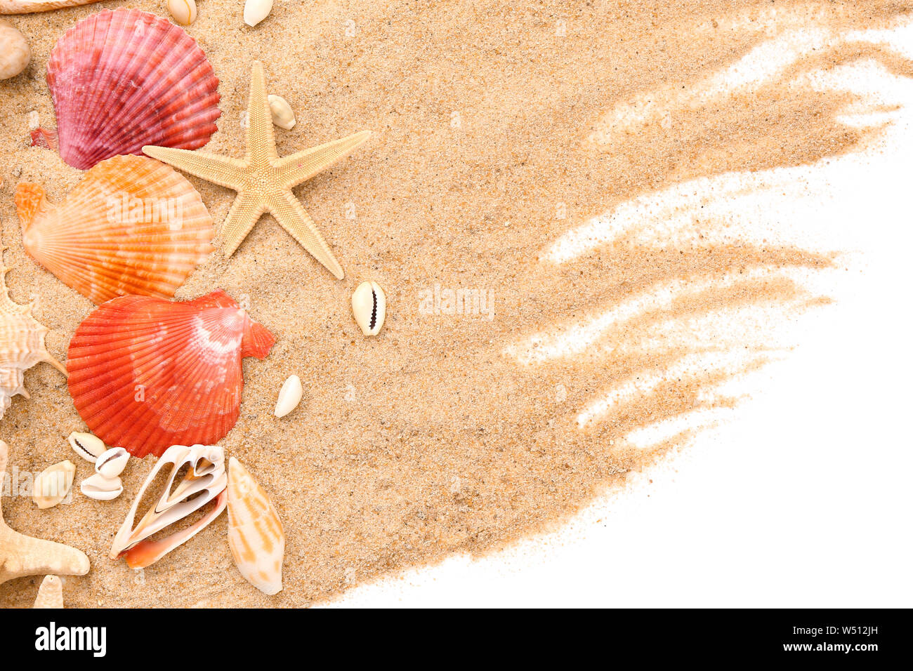 Beautiful sea shells, starfish and sand on white background Stock Photo ...