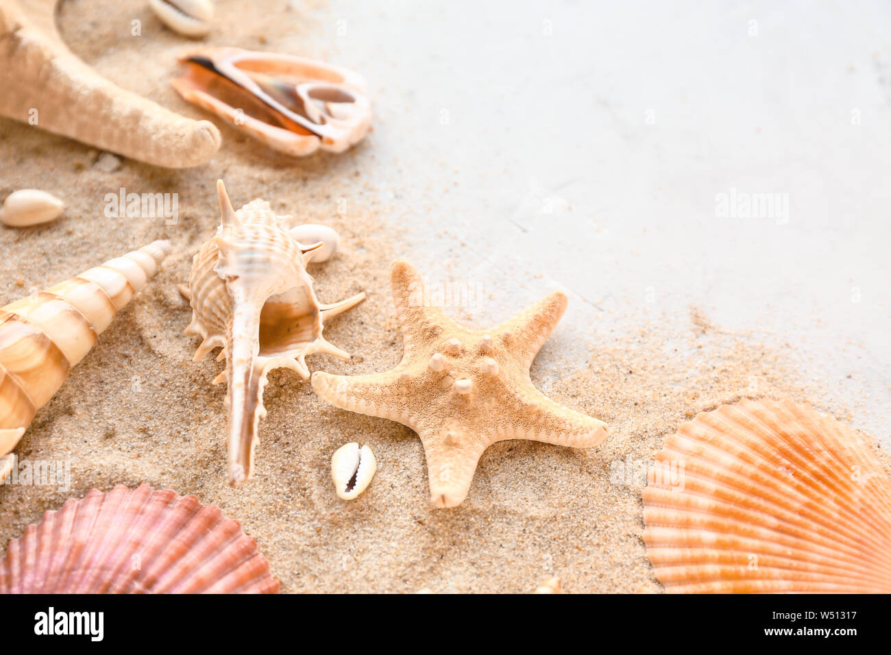 Various starfish species hi-res stock photography and images - Alamy