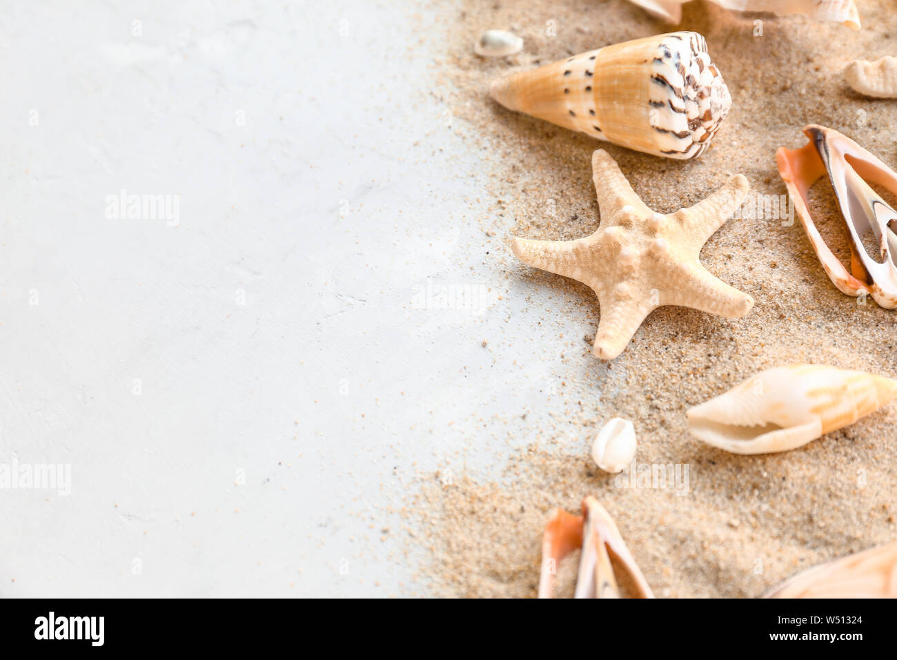Beautiful sea shells, starfish and sand on light background Stock Photo ...