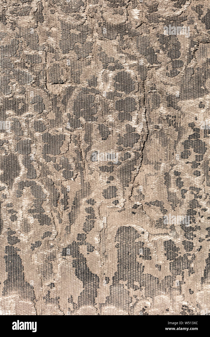 abstract background of concrete texture closeup Stock Photo - Alamy