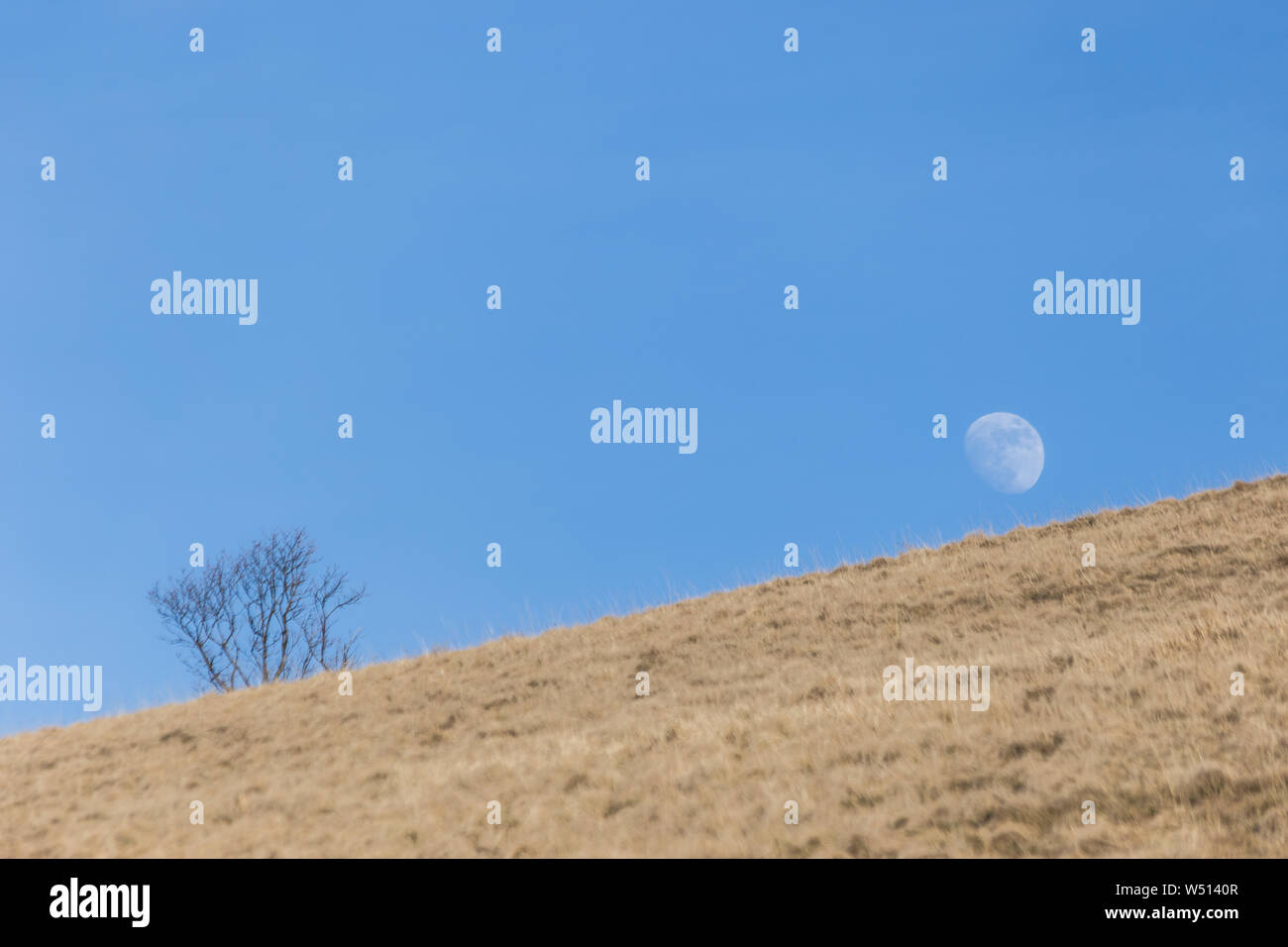 Full moon low hi-res stock photography and images - Alamy