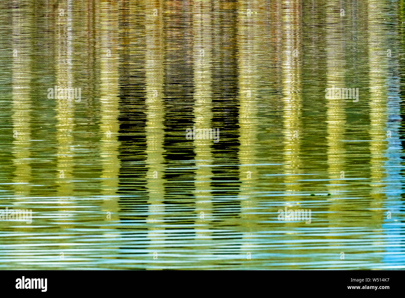 Reflectinng pool hi-res stock photography and images - Alamy