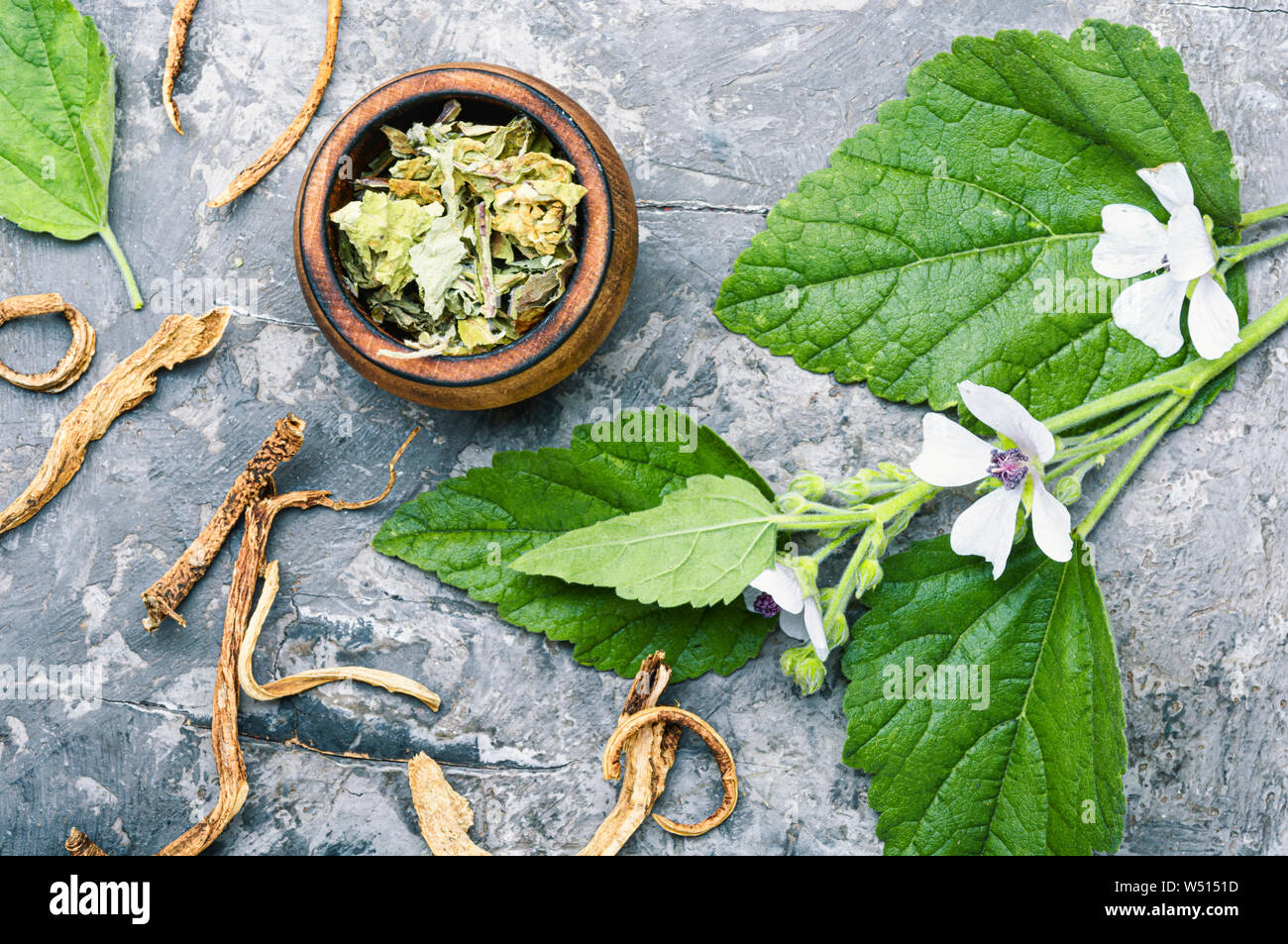 Medicinal plant althaea officinalis and dry roots althaea.Herbal ...
