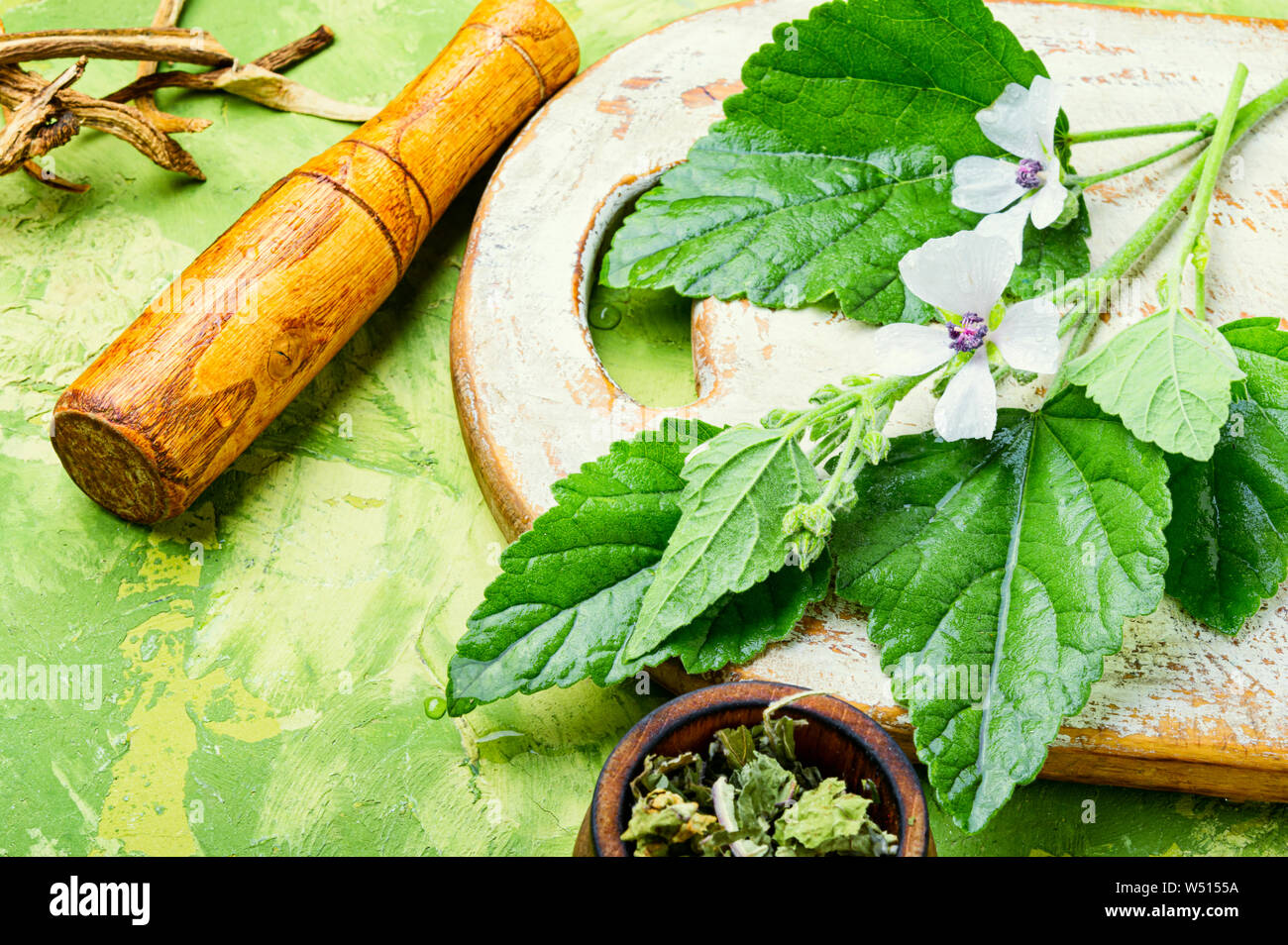 Medicinal plant althaea officinalis and dry roots althaea.Herbal ...