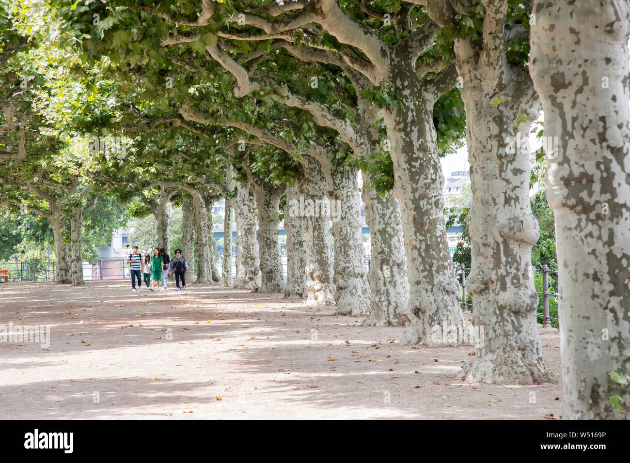 River Bank Footpath, Frankfurt, Germany Stock Photo - Alamy