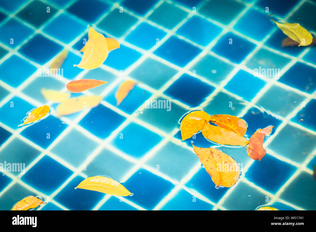 Blue Pool with autumn leaves with a waterfall Stock Photo - Alamy