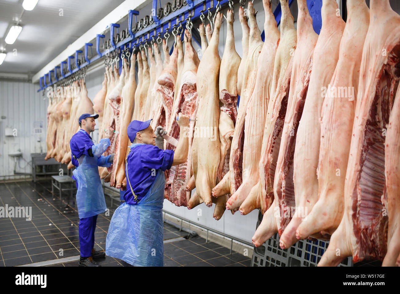 Butcher cutting pork at the meat manufacturing Stock Photo - Alamy