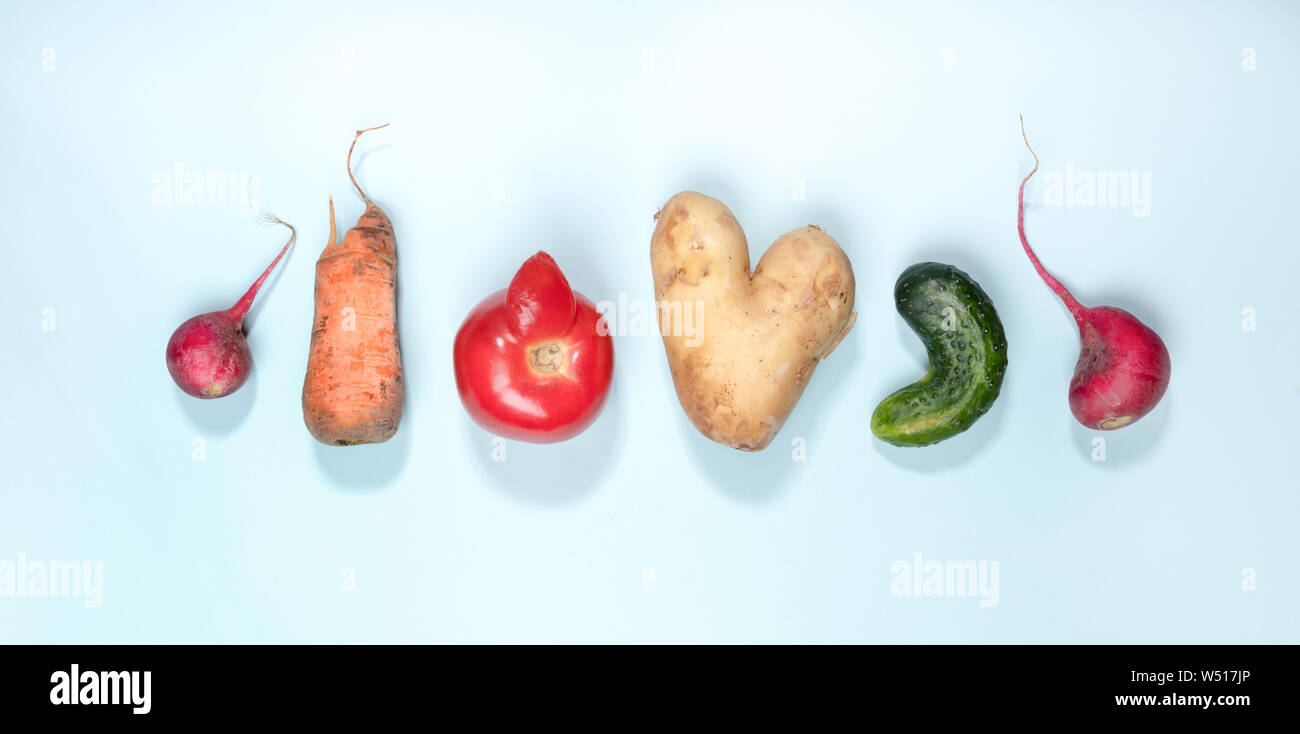 Six ripe ugly vegetables: potato, tomato, cucumber and radish laid out ...