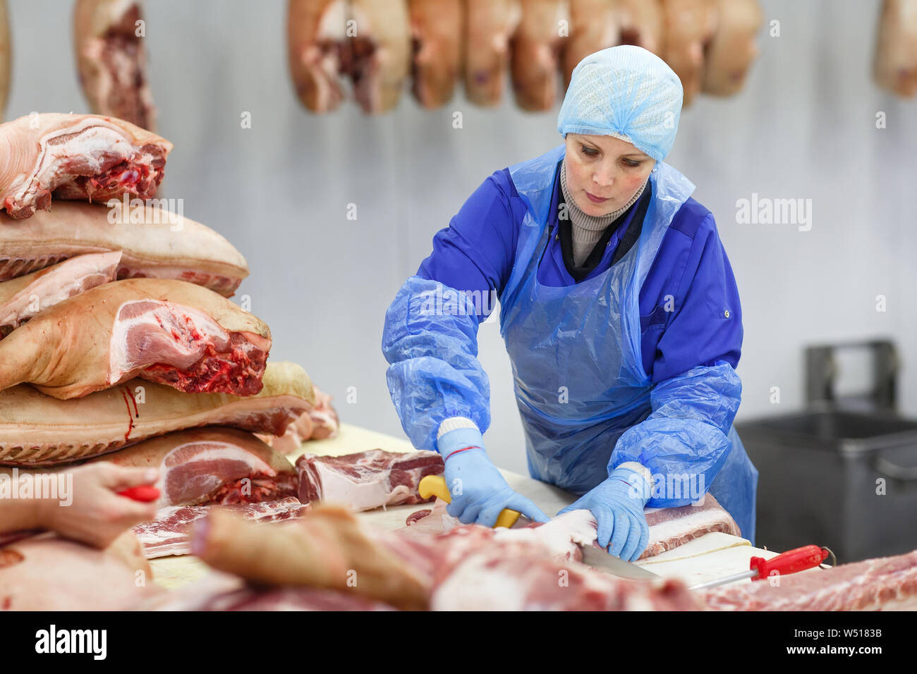 Cutting meat in slaughterhouse. The meat and sausage factory Stock ...