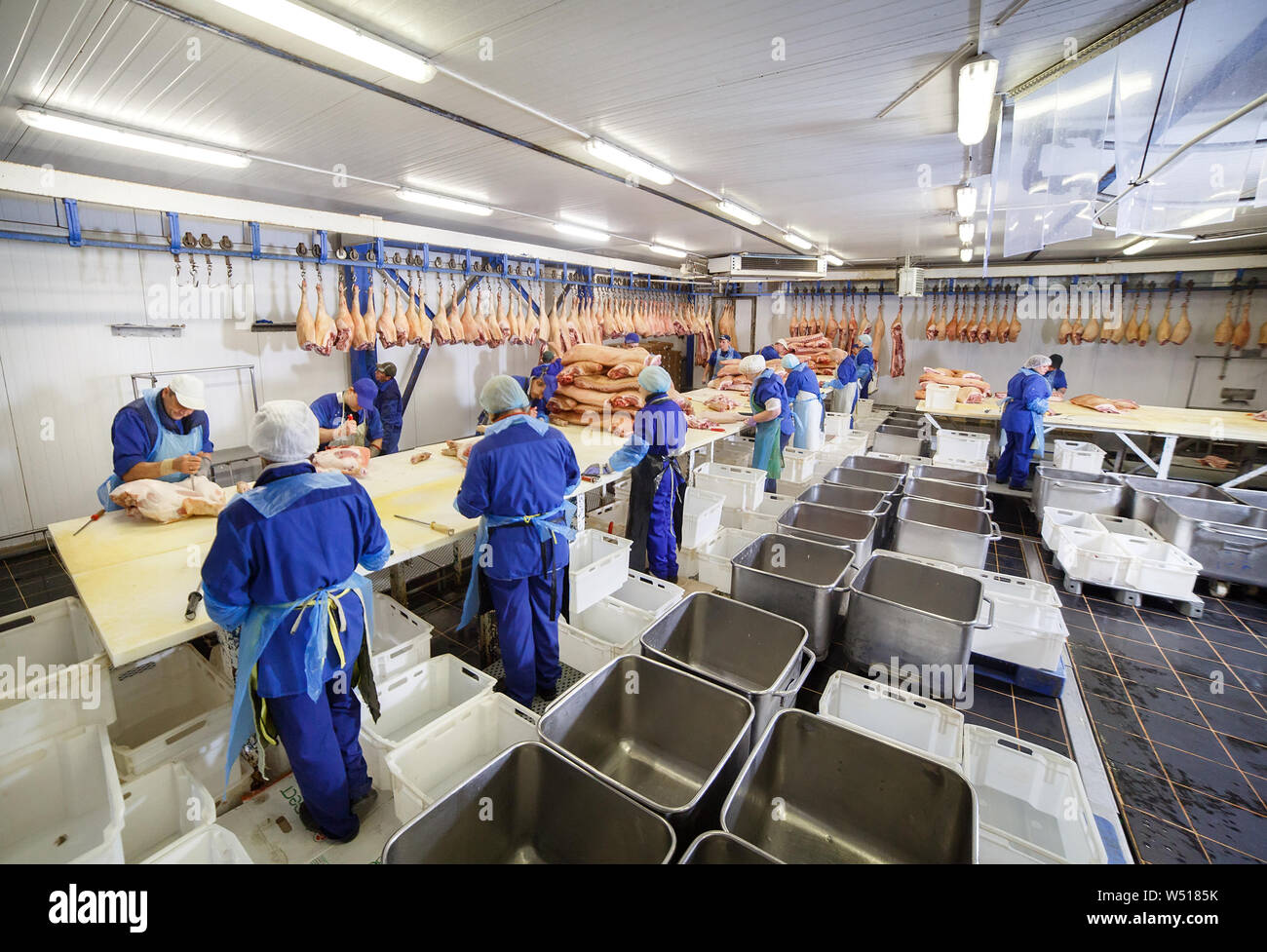 Cutting meat in slaughterhouse. The meat and sausage factory Stock ...