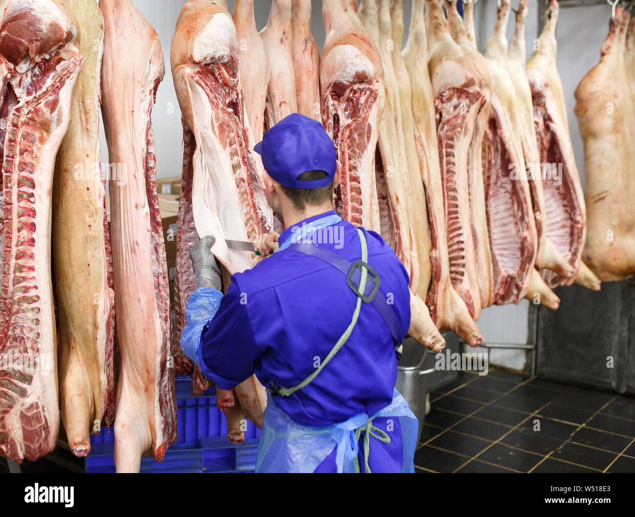 Butcher cutting pork at the meat manufacturing Stock Photo - Alamy