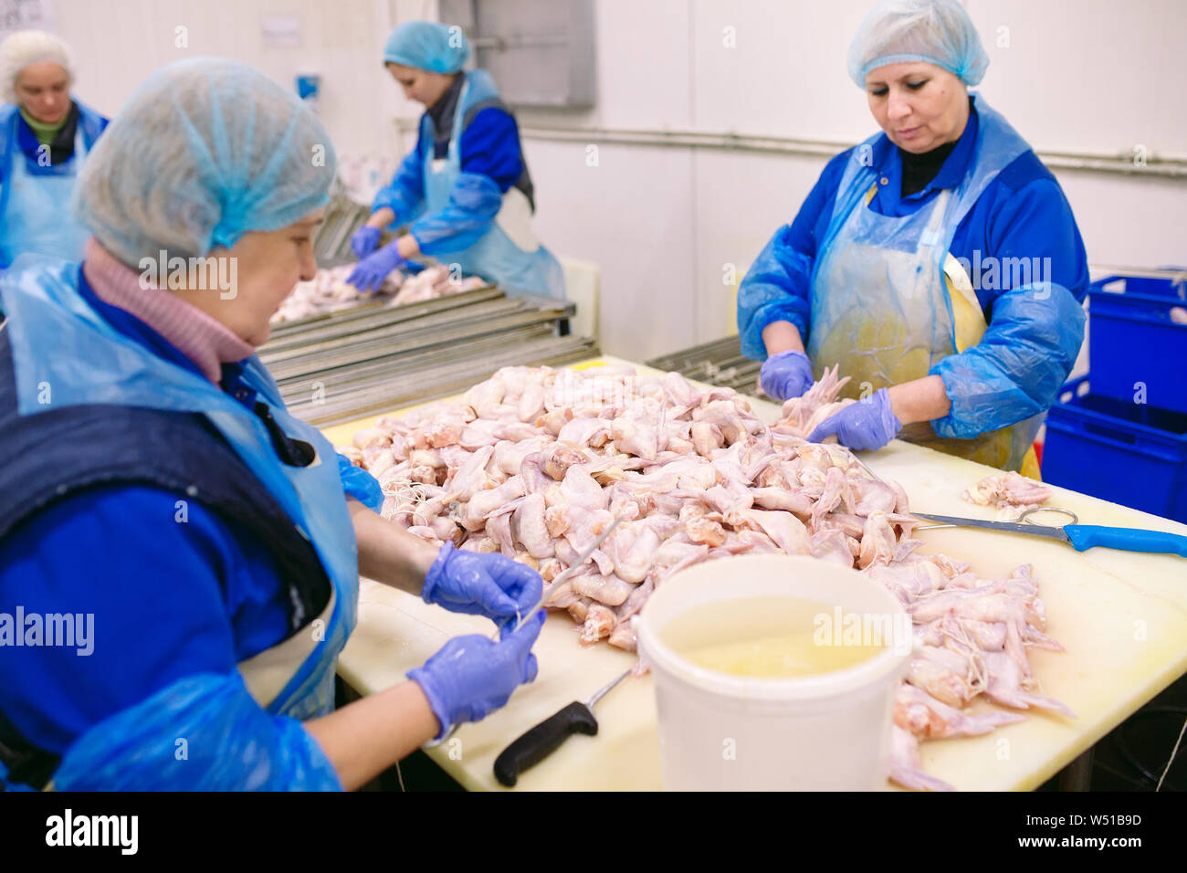 Workers working in a chicken meat plant Stock Photo - Alamy