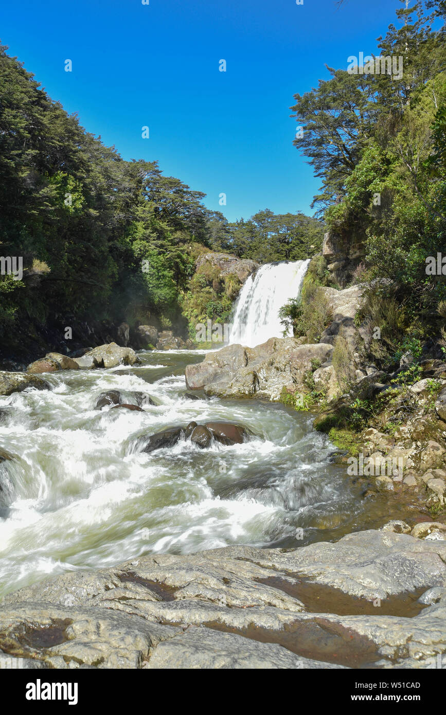 Tawhai waterfalls in the tongariro national park, new zealand Stock ...