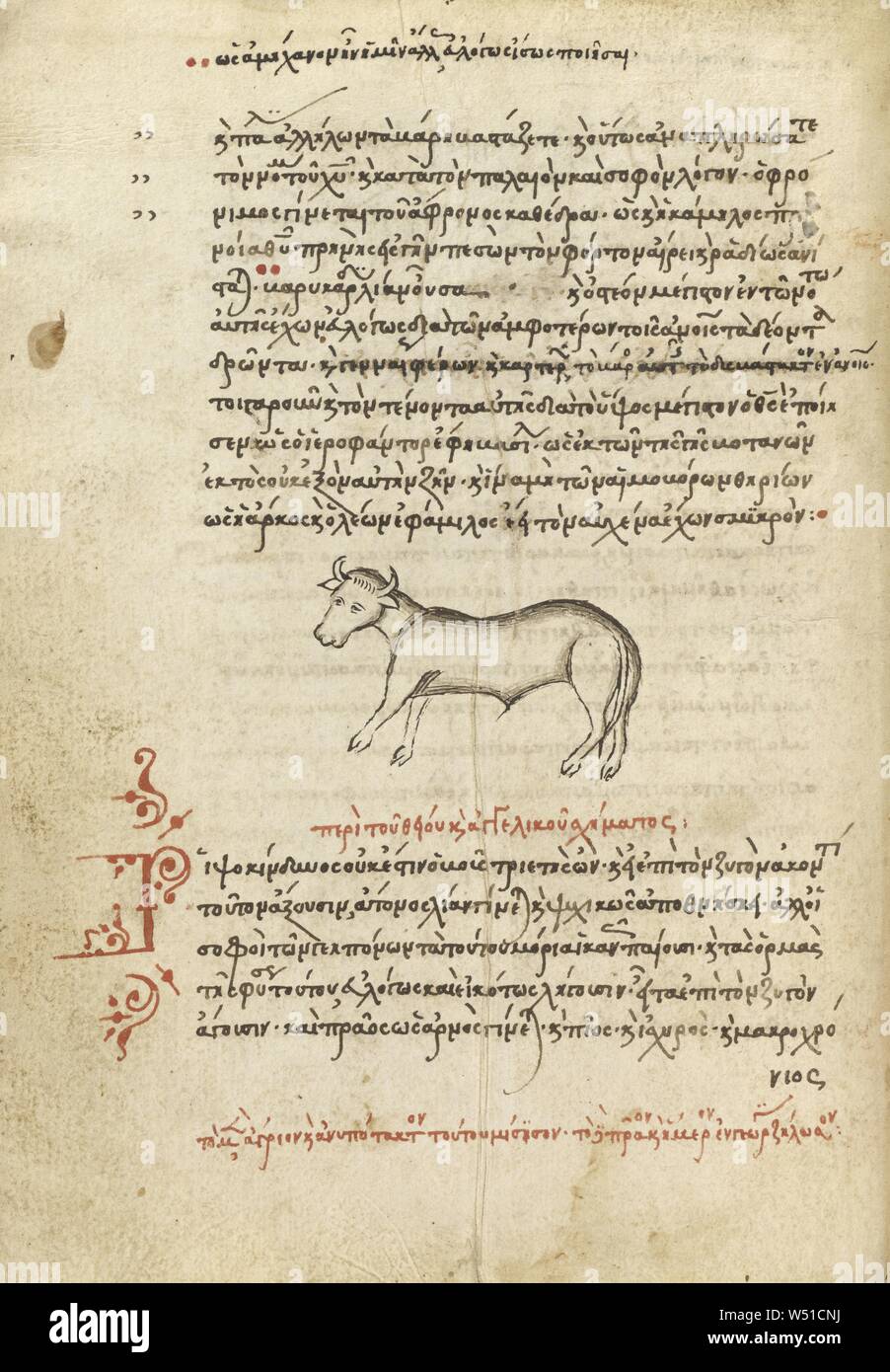 Ox gall hi-res stock photography and images - Alamy