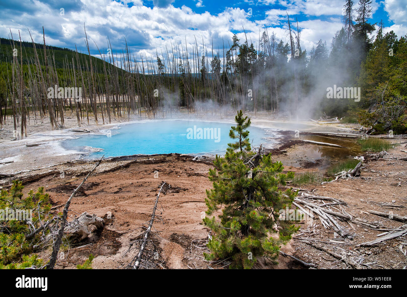 Cistern spring yellowstone hi-res stock photography and images - Alamy