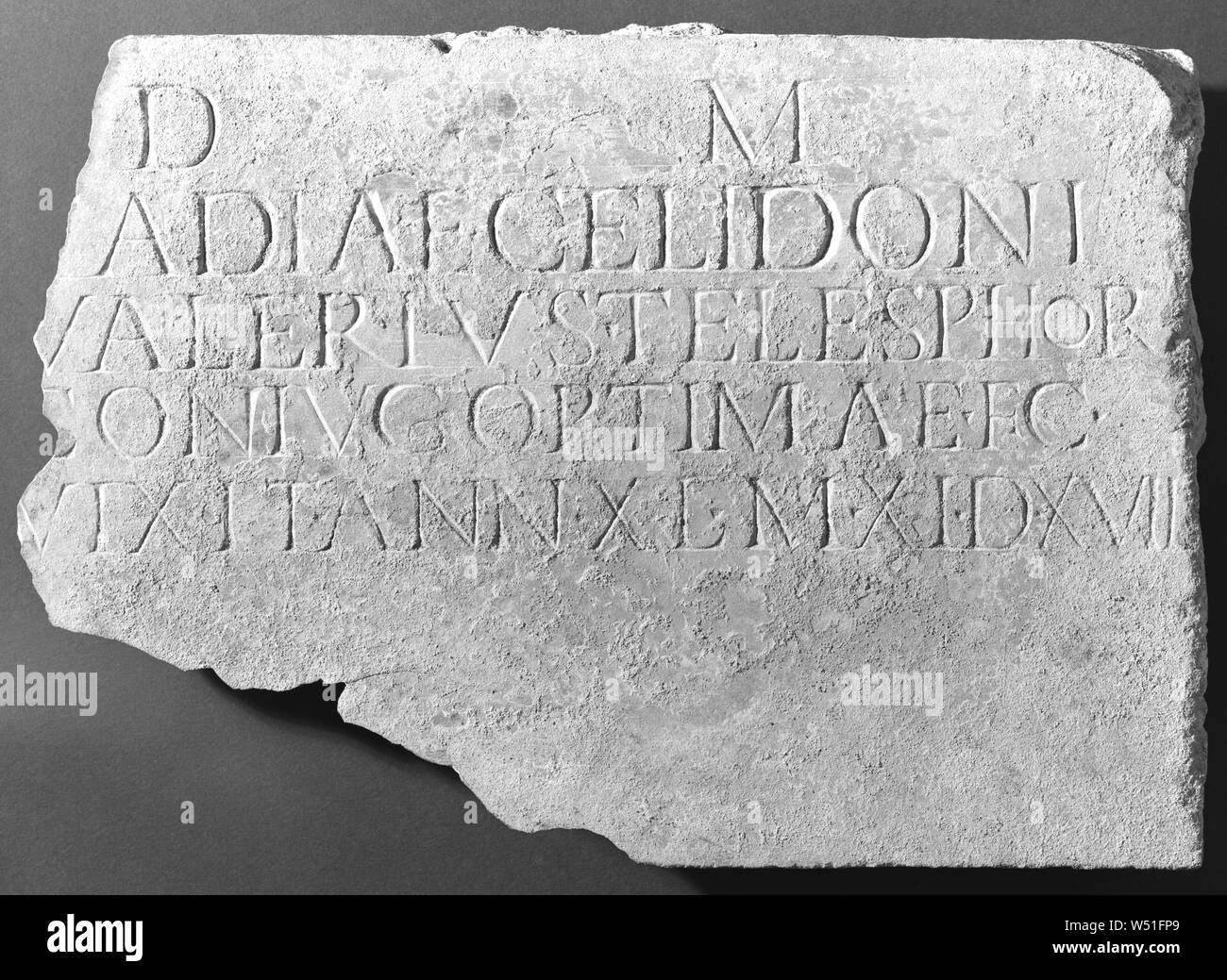 Latin Funerary Inscription Cut into the Reverse of a Fluted Pilaster ...