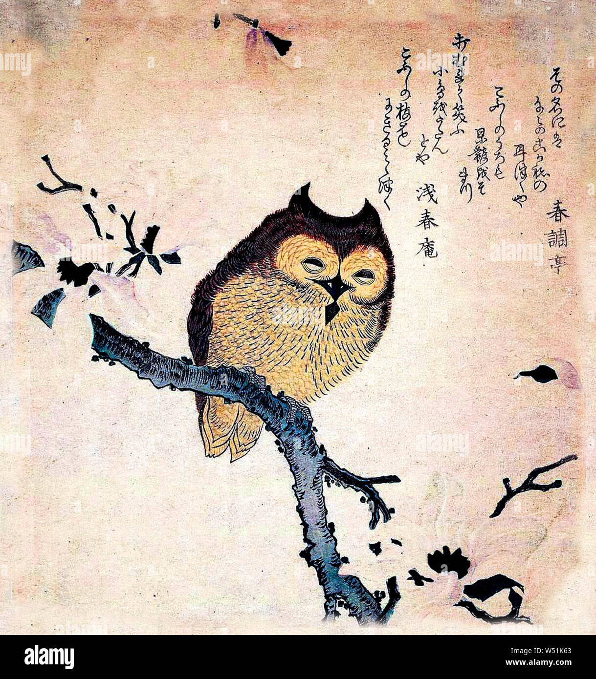 Painting Of Owl High Resolution Stock Photography and Images - Alamy