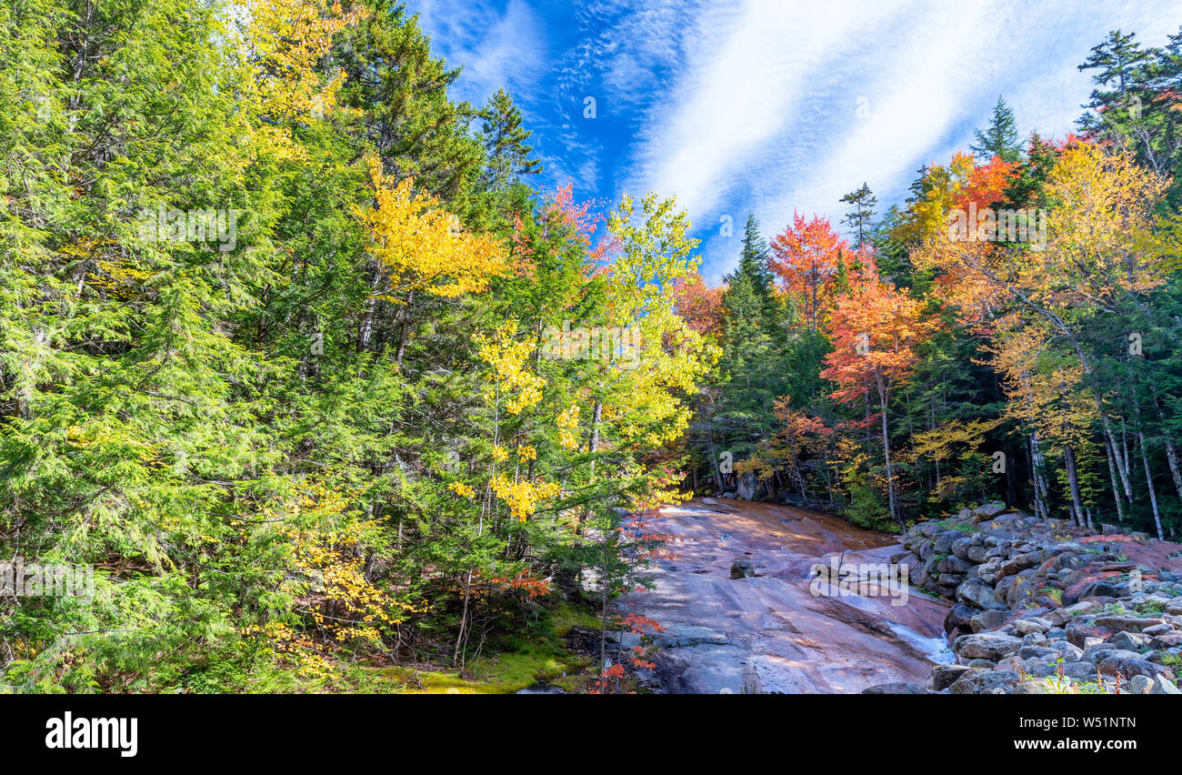 Red, green and yellow trees of New England with creek in October ...