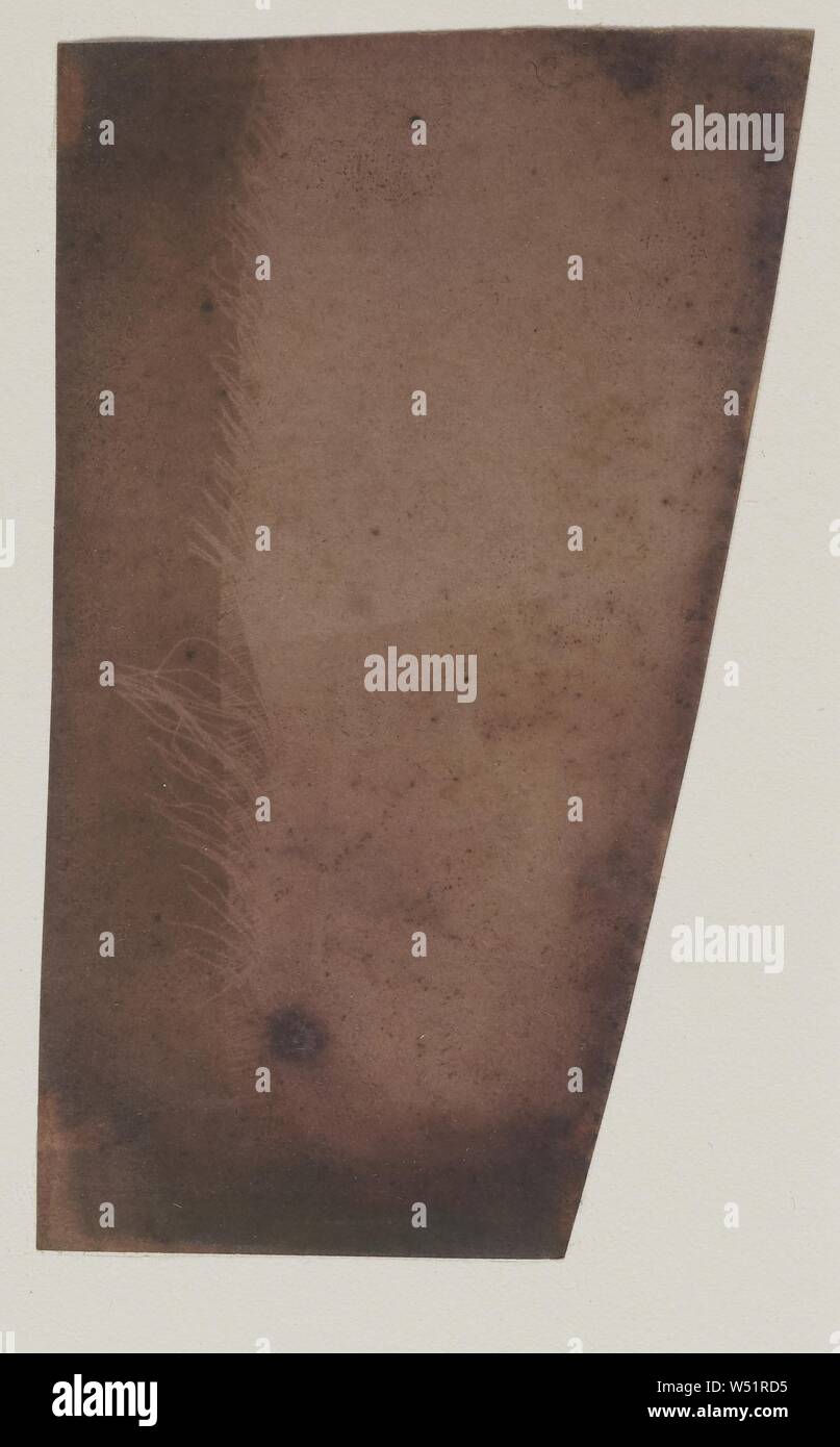 William henry fox talbot negative hi-res stock photography and images ...